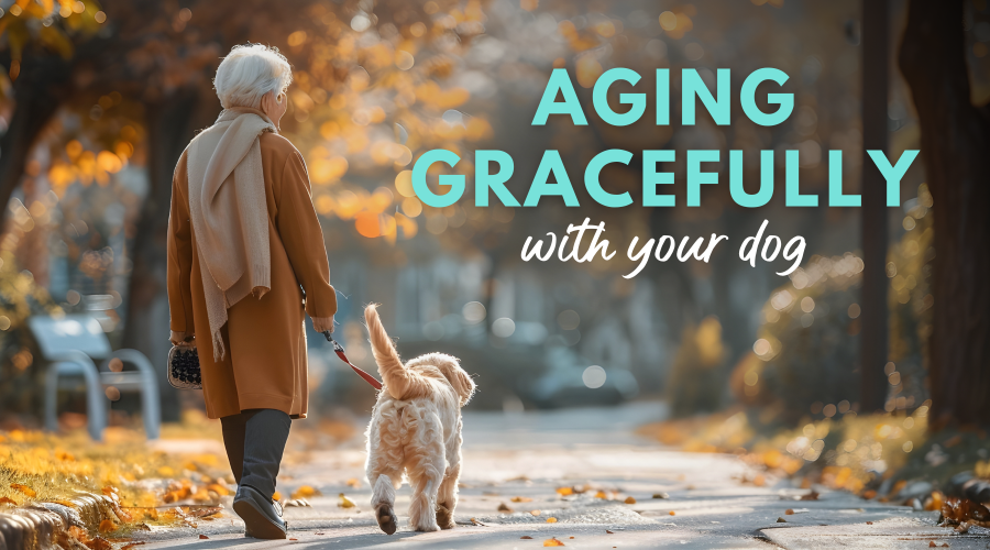 Aging Gracefully with Your Dog – Dr. Dobias Healing Solutions