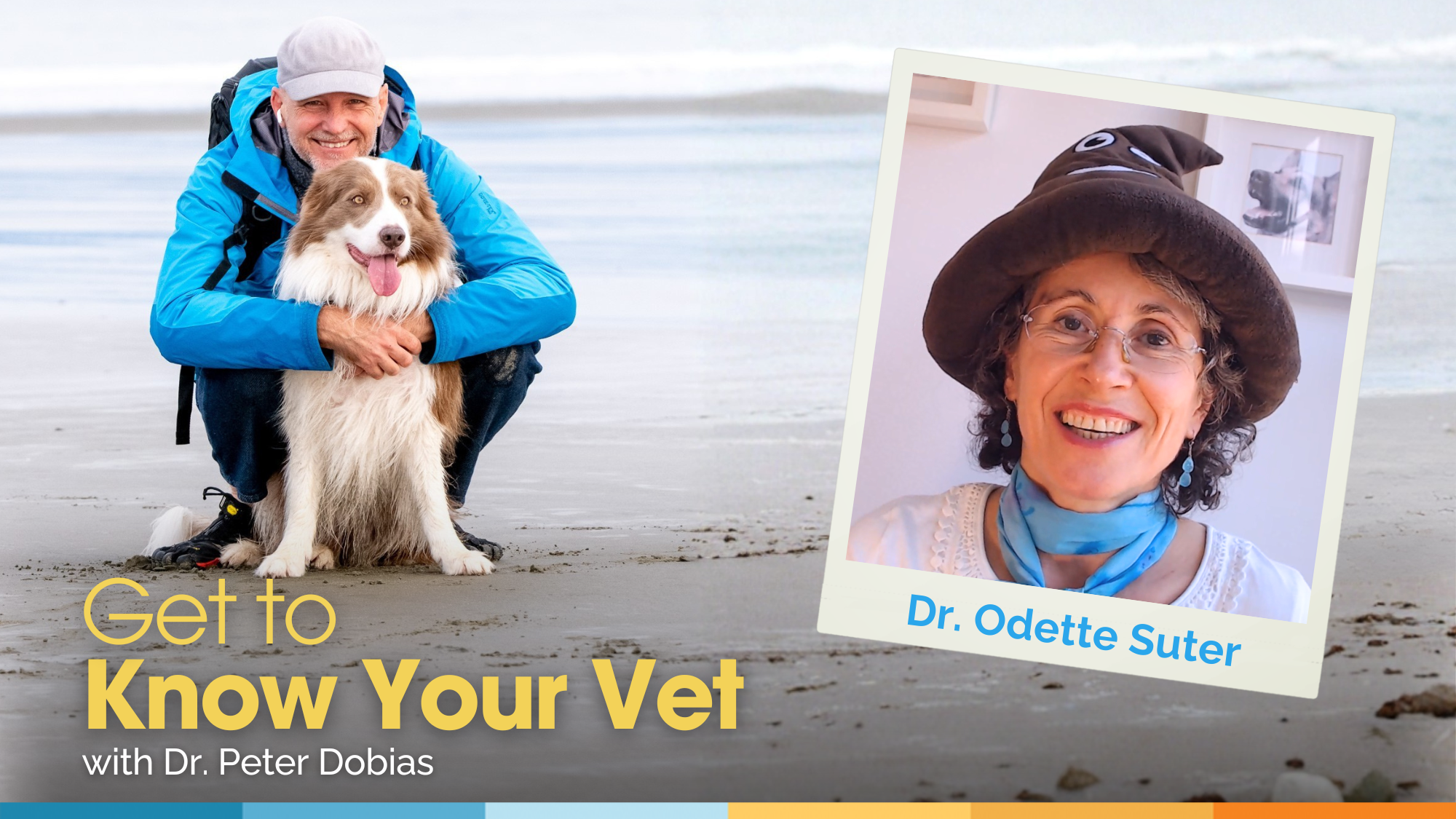 Get to Know Your Vet With Dr. Odette Suter – Dr. Dobias International