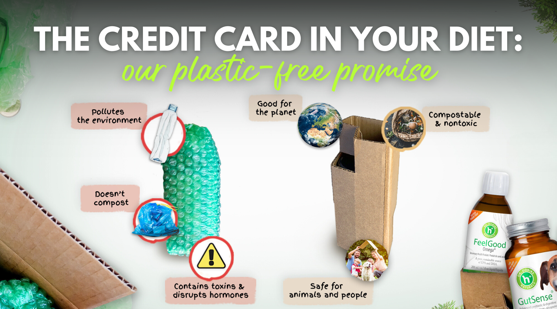 The Credit Card in Your Diet: Microplastics, Pet Health, and Our Plast ...