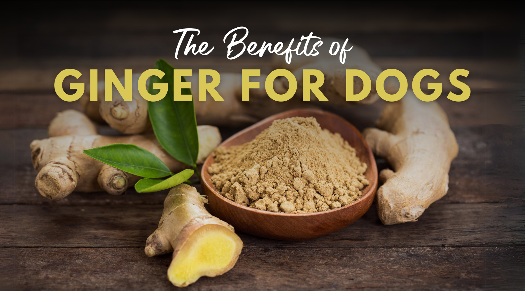 The Science Behind Fermented Ginger: Transforming Mobility and Wellnes ...
