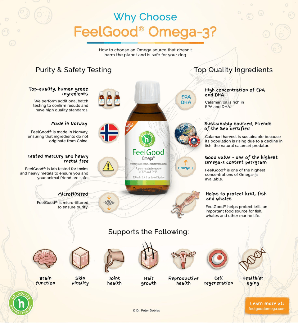 FeelGood Omega: Calamari Oil for Dogs (Fish Oil Alternative) | Dr ...